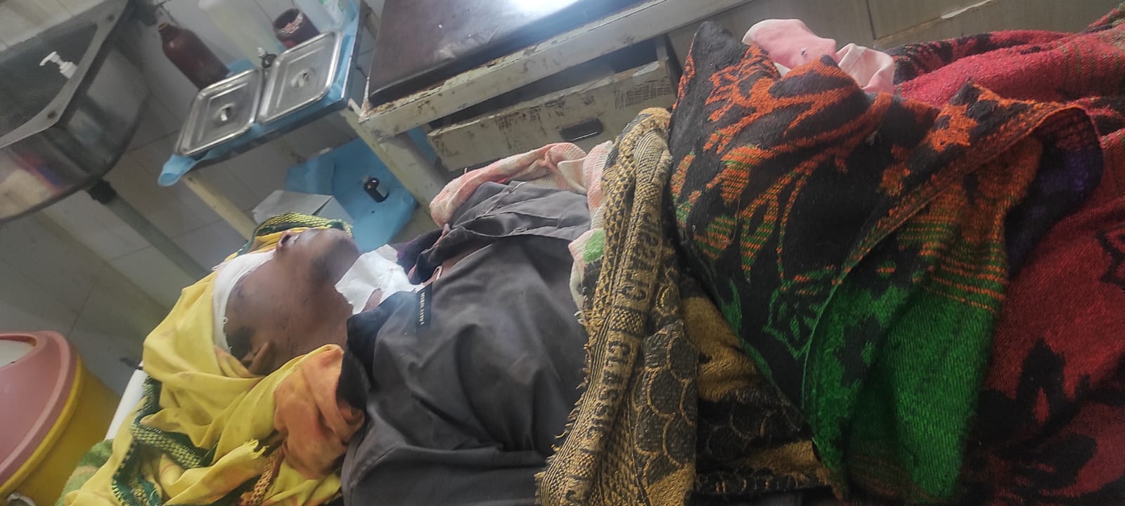 Bhalu ka Hamla: पलासपानी के जंगल में भालू का युवक पर जानलेवा हमला, आंखें भी फोड़ी, हालत गम्भीर ...